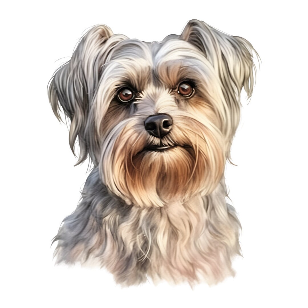 Yorkshire Yorkie Dog 100% Cotton Fabric Panel Square Small Quilting ...