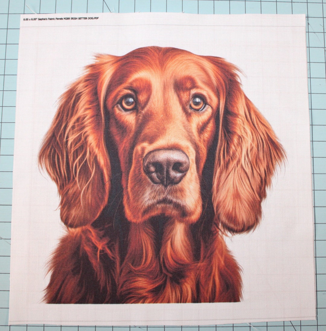 Irish Setter 100% Cotton Fabric Panel Block - Small Quilting Sewing ...