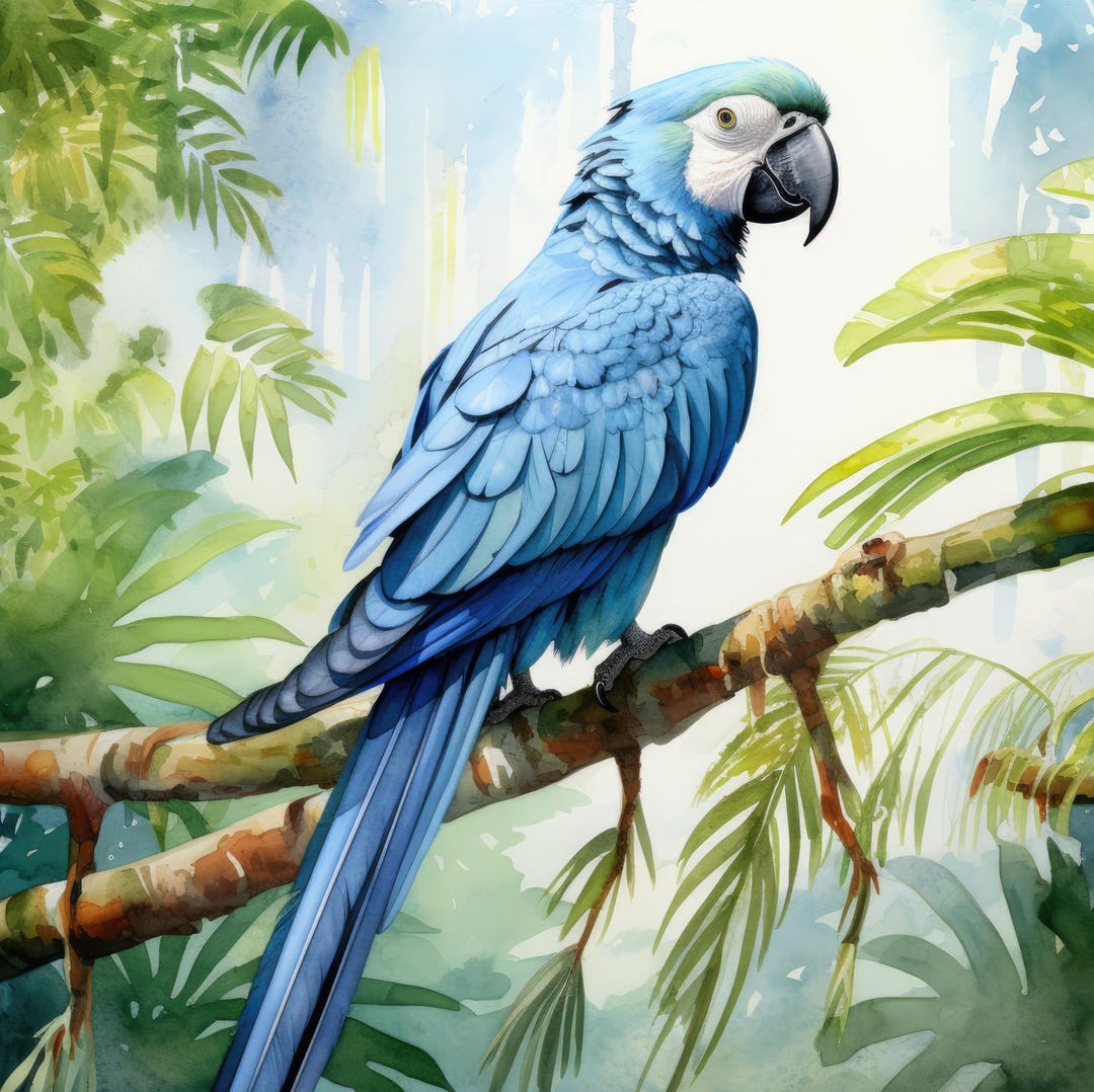 Macaw 100% Cotton Fabric Panel Block | Small Quilting Sewing Square ...