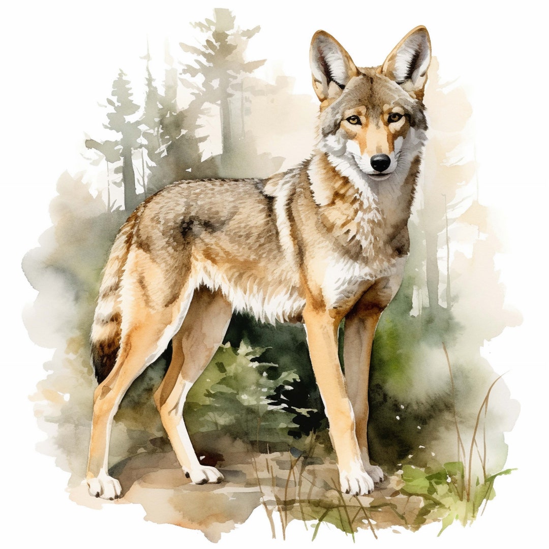 Coyote 100% Cotton Fabric Panel Square Small Quilting Sewing - Etsy