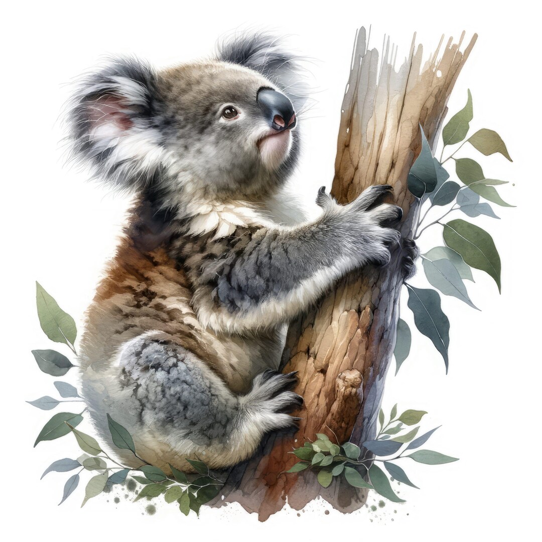Koala Bear 100% Cotton Fabric Panel Square Small Sewing Quilting Block ...