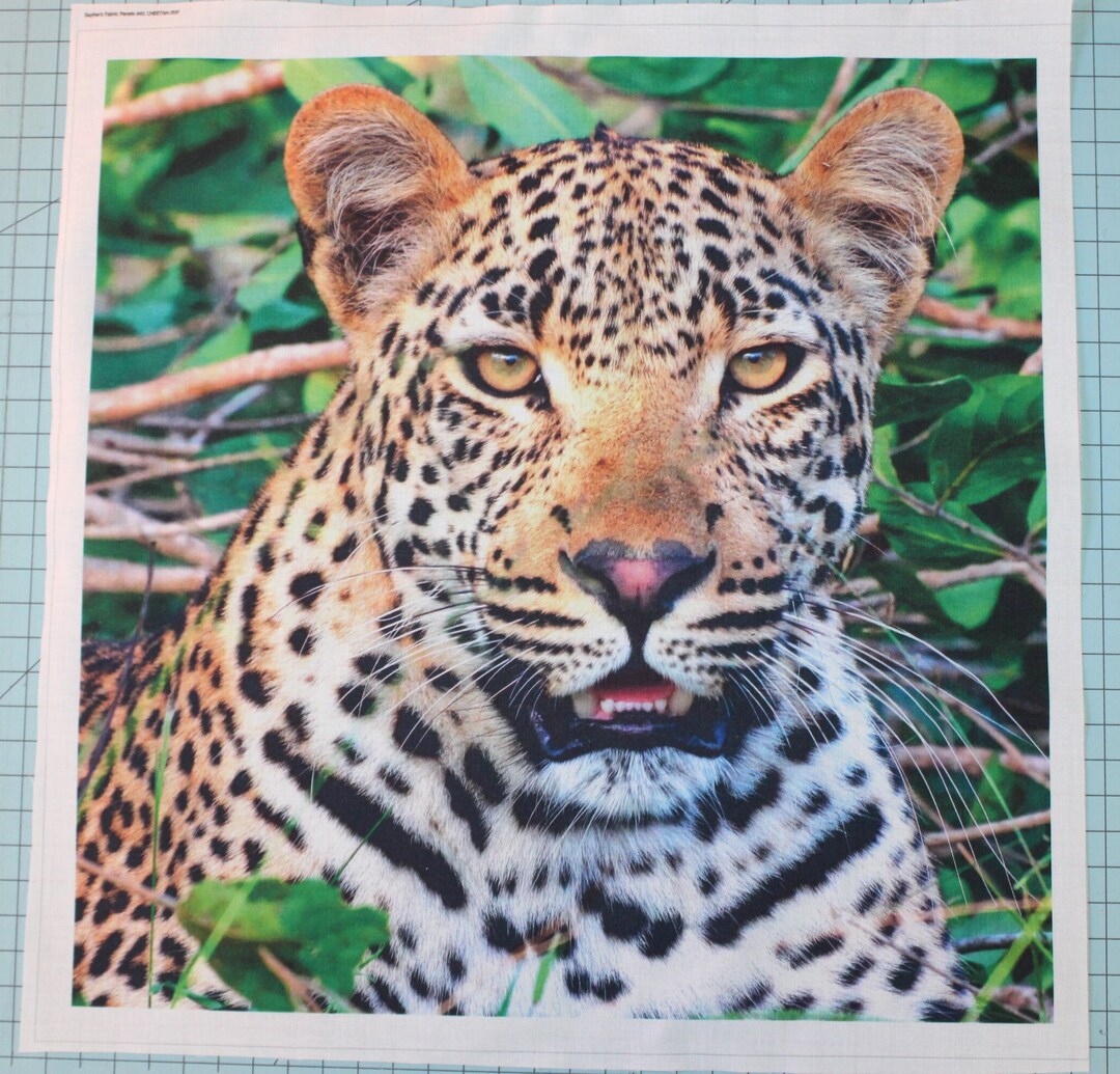 Cheetah 100% Cotton Fabric Panel Block Small Quilting Sewing Square A41 ...