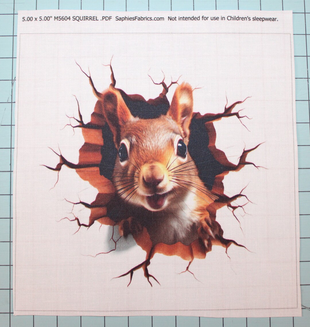 Squirrel 100% Cotton Fabric Panel Square Small Quilting Sewing Block ...
