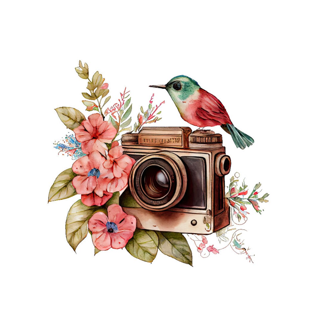 Boho Camera With Hummingbird 100% Cotton Fabric Panel Square - Etsy