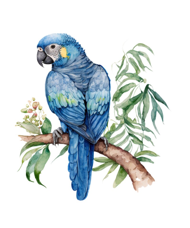 Blue Parrot Bird 100% Cotton Fabric Panel Square Quilting - Etsy