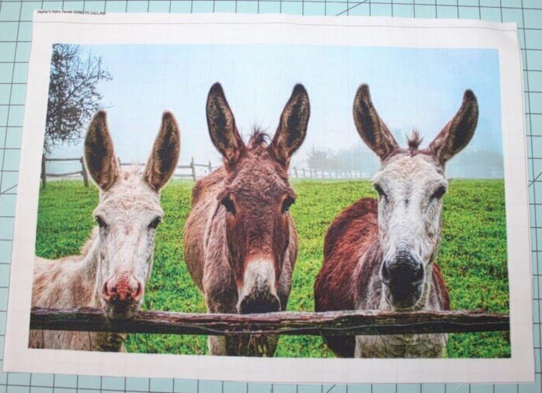 Donkey 100% Cotton Small Fabric Panel for Quilting & Sewing D421 - Etsy