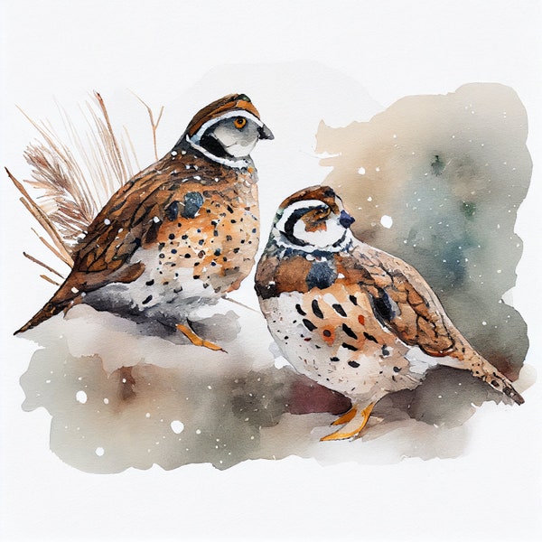 Quail Fabric - Etsy