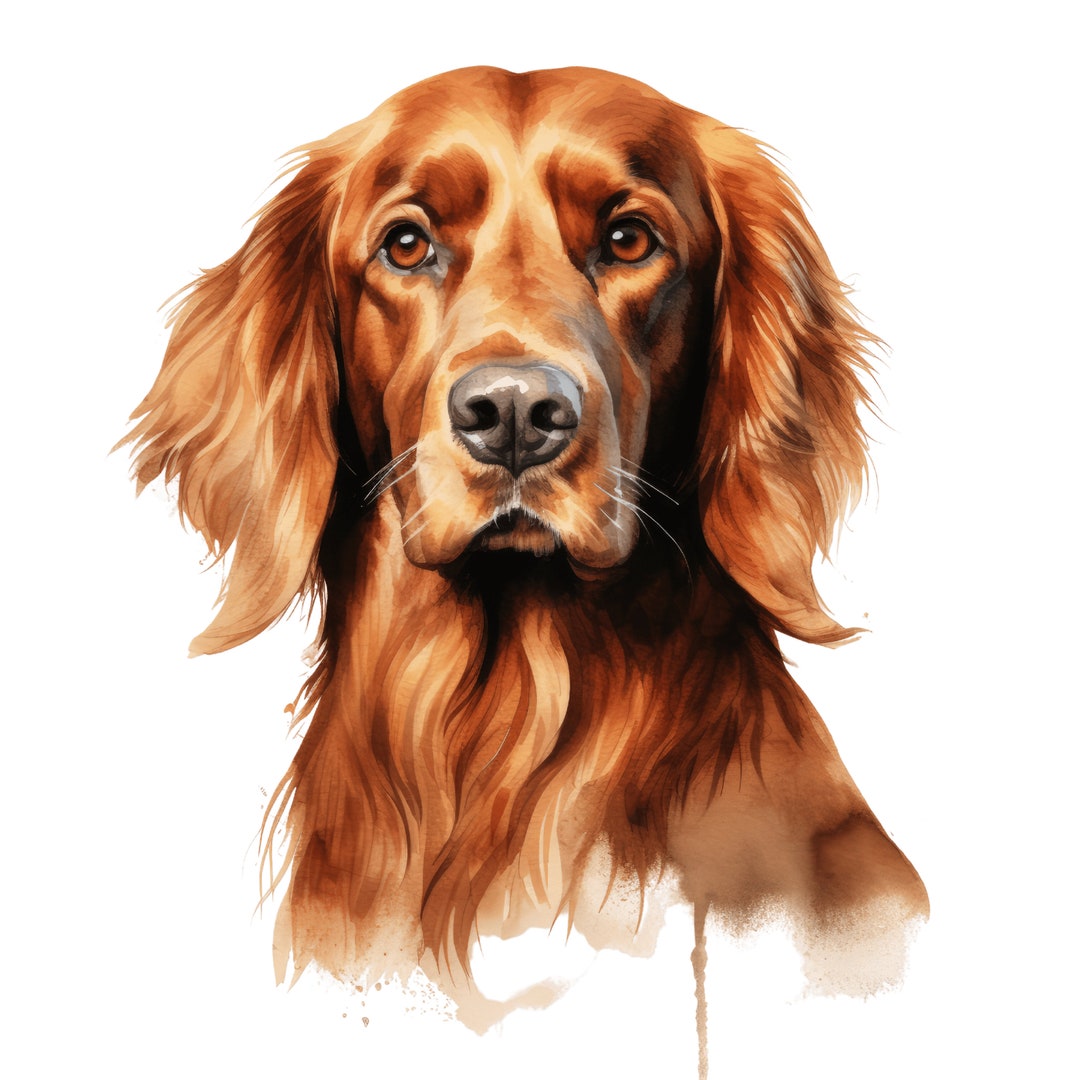 Irish Setter 100% Cotton Fabric Panel Square Small Sewing Quilting ...