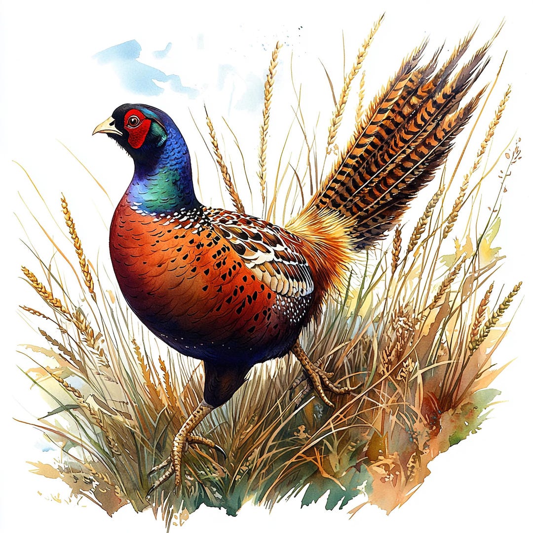 Pheasant 100% Cotton Fabric Panel Block | Small Quilting Sewing Square ...