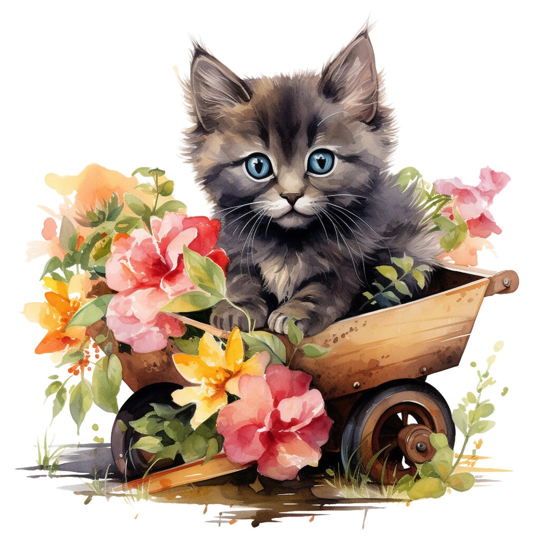 Kitten in Wheelbarrow 100% Cotton Fabric Panel Square Small - Etsy