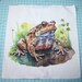 Frog 100% Cotton Fabric Panel Square Small Quilting Sewing - Etsy