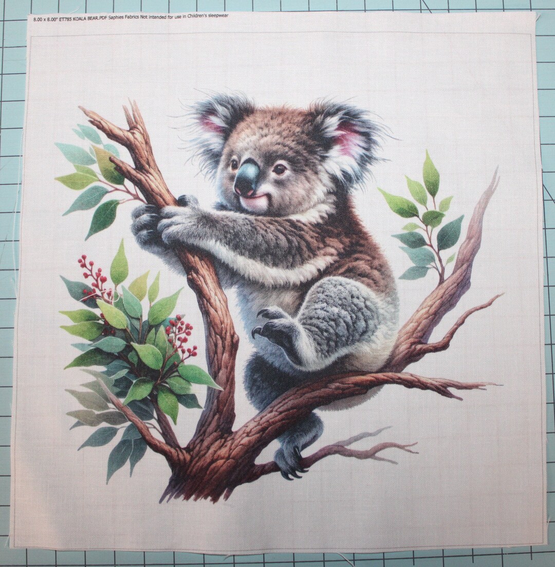 Koala Bear 100% Cotton Fabric Panel Block | Small Sewing Quilting ...