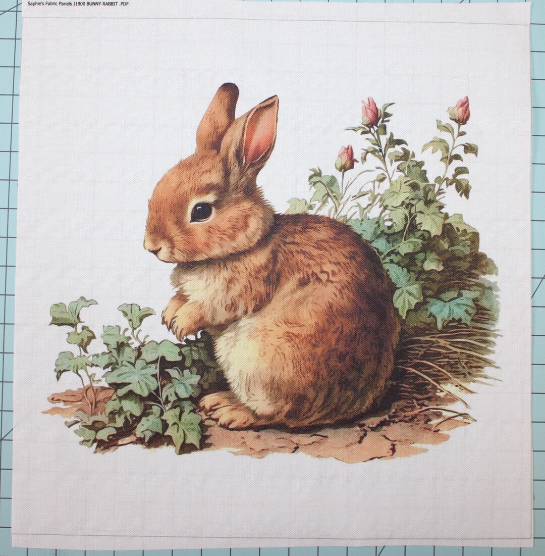Bunny Rabbit 100% Cotton Fabric Panel Square Small Quilting - Etsy
