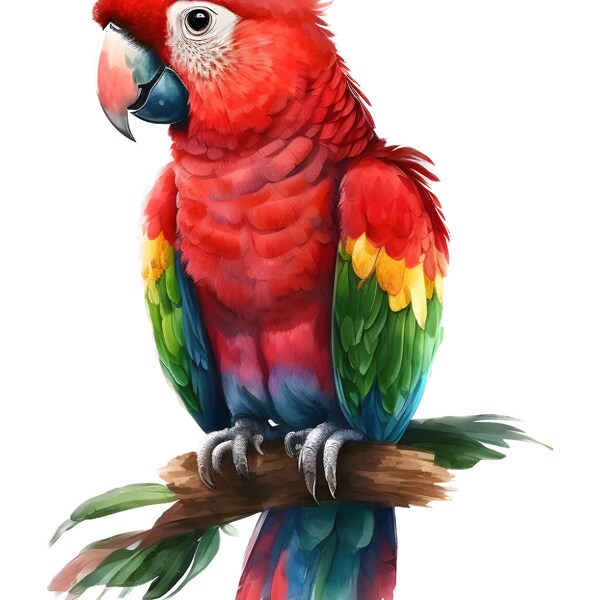 Parrot Fabric - Etsy
