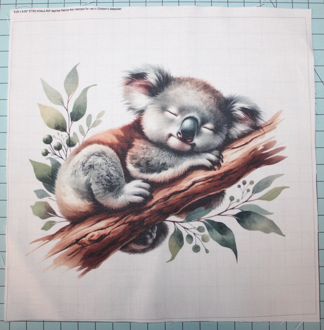Koala Bear 100% Cotton Fabric Panel Square Small Sewing Quilting Block ...