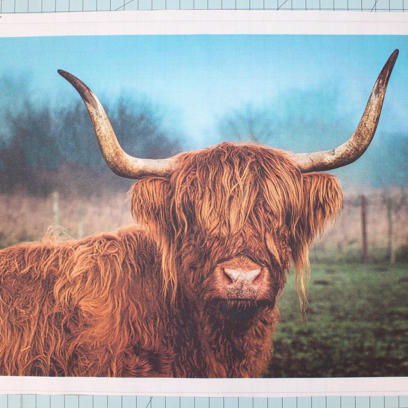 Highland Cow Fabric - Etsy