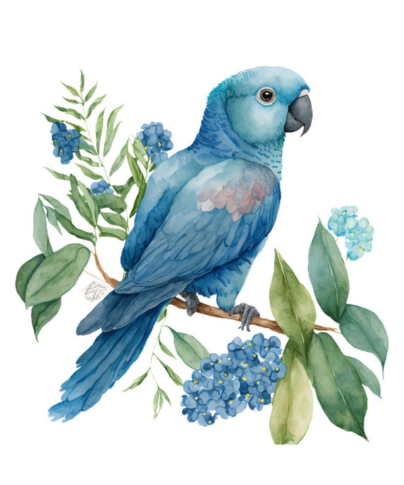 Norwegian Blue Parrot