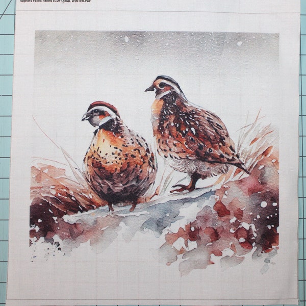 Quail Watercolor - Etsy