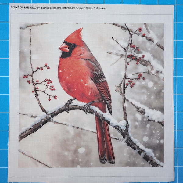 Cardinal Glass Block - Etsy