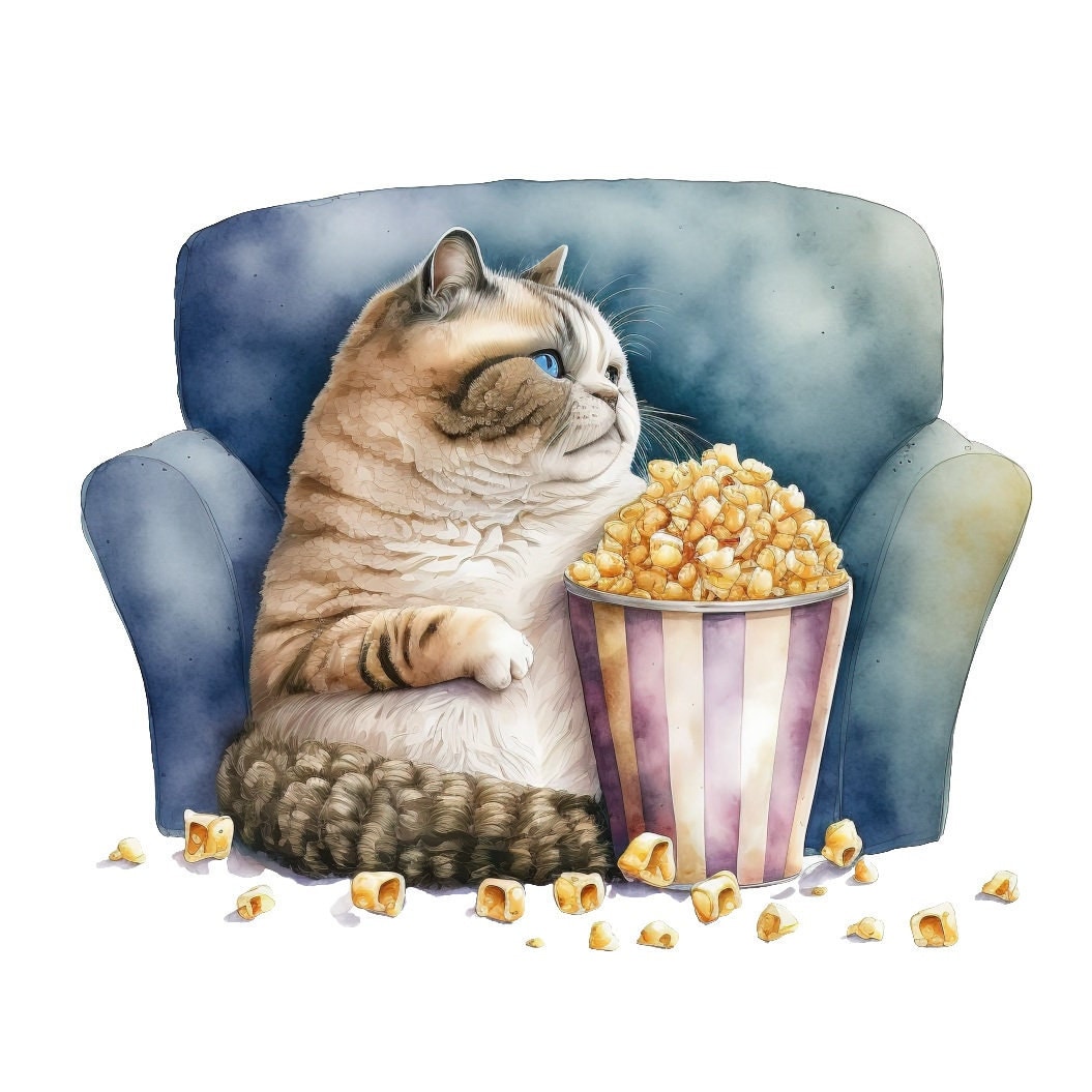 Cat Eating Popcorn Meme
