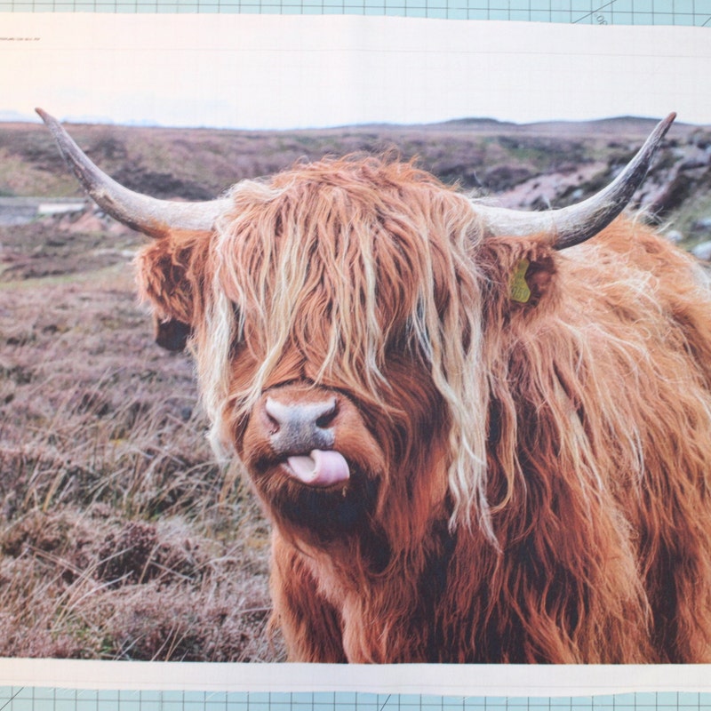 Highland Cow Fabric - Etsy