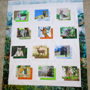 Koala Bear in Tree Australia Outback Girls Boys Wildlife Fabric Quilt ...