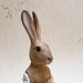Hare Doll Kit - Etsy UK