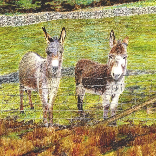 Donkey Card - Etsy