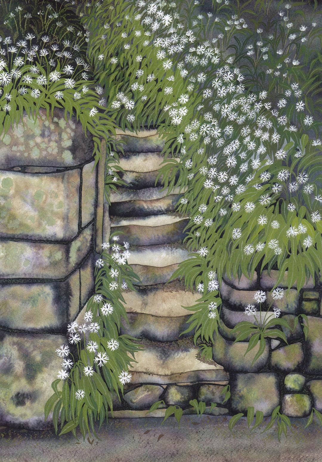 Greetings Card: "ransom" - Flower Card, Wild Garlic Flowers, White ...