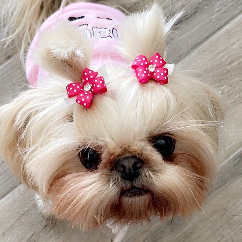 Dog Hair Bows - Etsy
