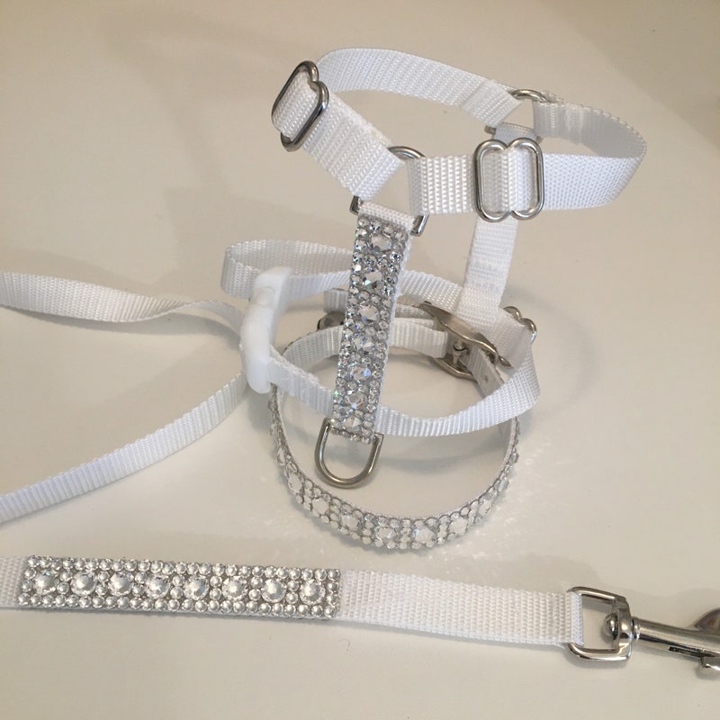 Wedding Dog Harness - Etsy