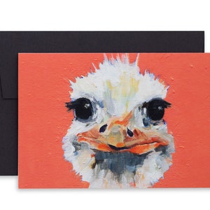 Ostrich Print, Ostrich Wall Art, Art Prints, Wall Art Prints, Farm ...