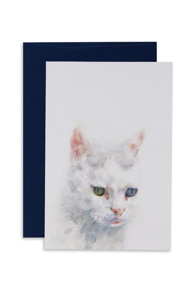 Complete 5-pack Kitty Cards Cat Lover Gift Animal Lover - Etsy