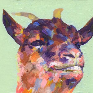 Smiling Goat Card Greeting Cards Cards Graduation Card - Etsy