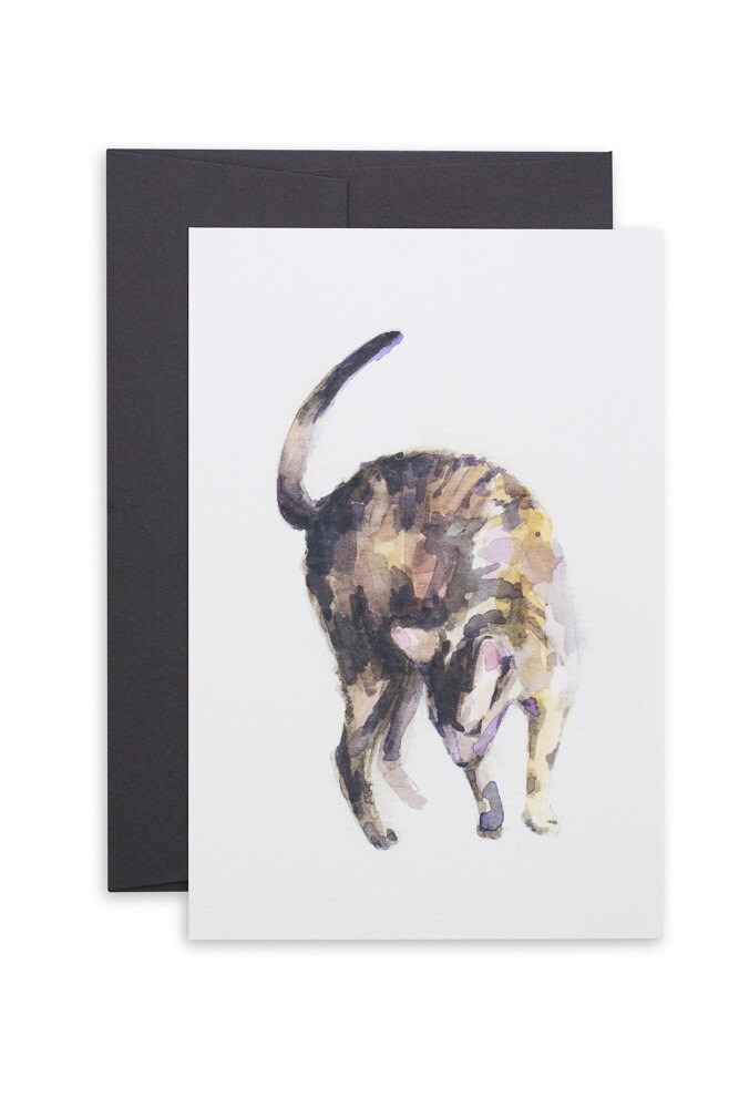 Complete 5-pack Kitty Cards Cat Lover Gift Animal Lover - Etsy