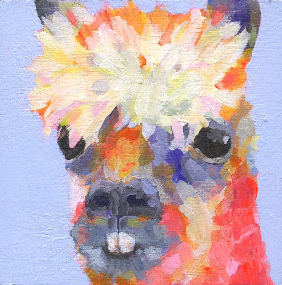 Alpaca Print, Alpaca Wall Art, Art Prints, Wall Art Prints, Farm ...