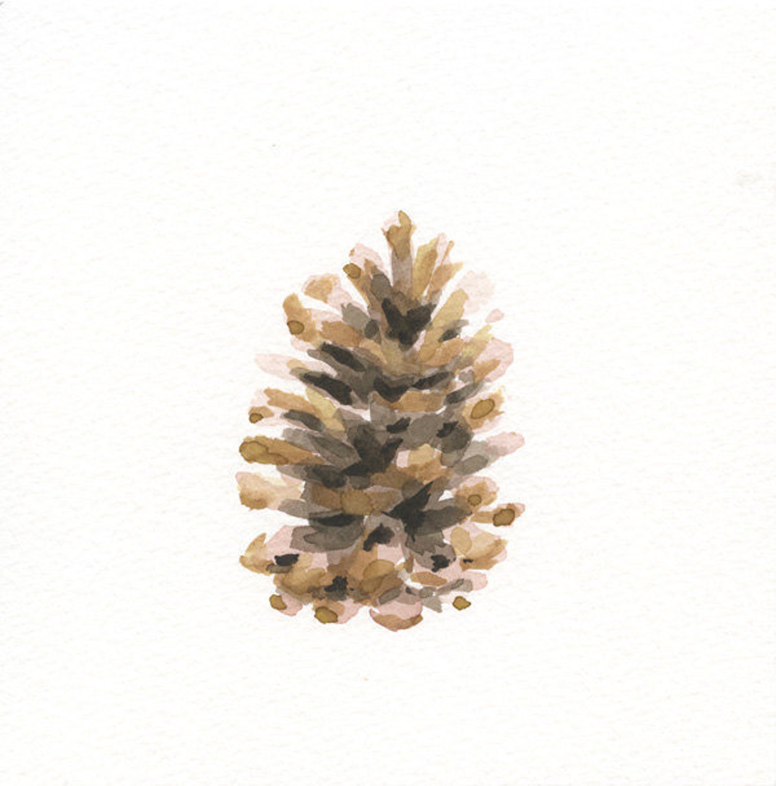 Pine Cone Print, Tiny but Mighty, Watercolour Print, Nursery Decor ...