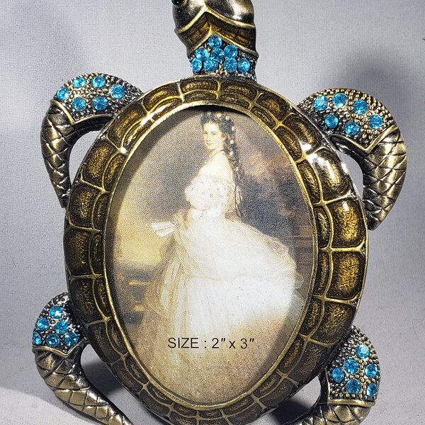 Turtle Picture Frame - Etsy