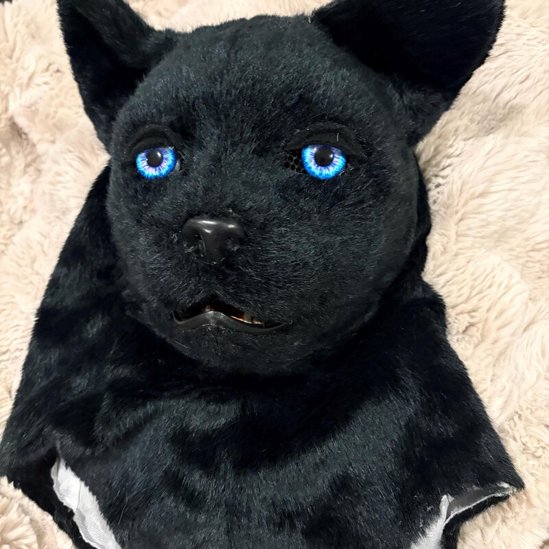 Realistic Cat Mask Fursuit Head - Etsy
