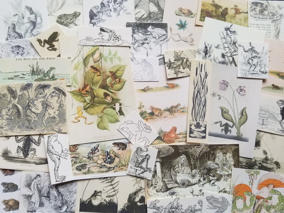 Vintage Frogs Paper Kit, 37 Piece Frogcore Ephemera Pack for Art ...