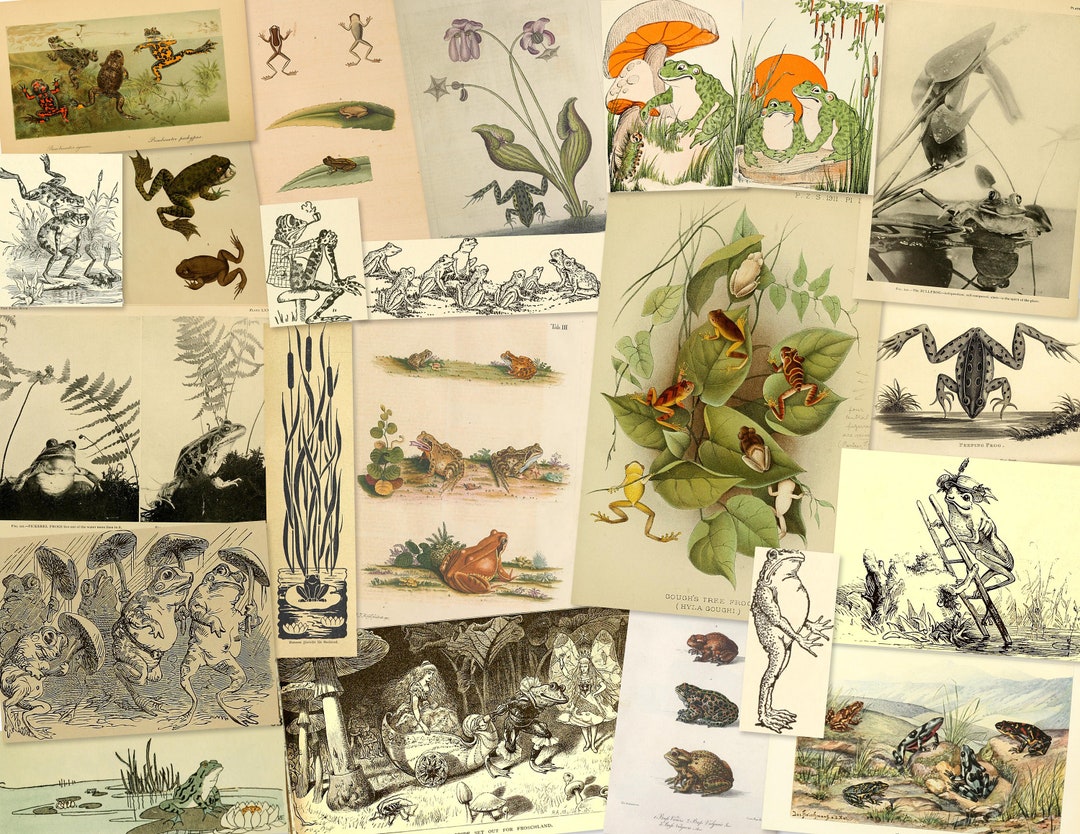 Vintage Frogs Printable Ephemera Kit, 37 Piece Frogcore Illustrations ...