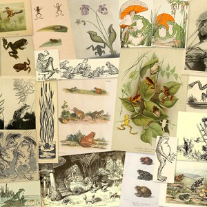 Vintage Frogs Printable Ephemera Kit, 37 Piece Frogcore Illustrations ...
