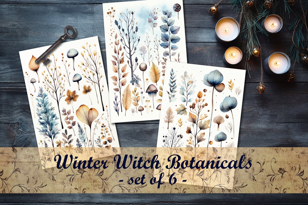 Winter Witch Botanicals Printable Set of 6 Nature Illustrations for ...