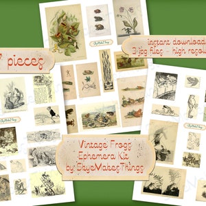 Vintage Frogs Printable Ephemera Kit, 37 Piece Frogcore Illustrations ...