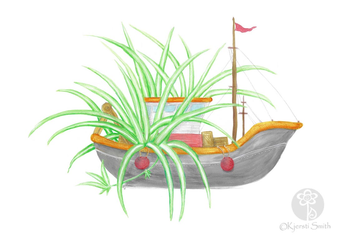 A4 Spider Plant Boat Illustrated Print - Etsy