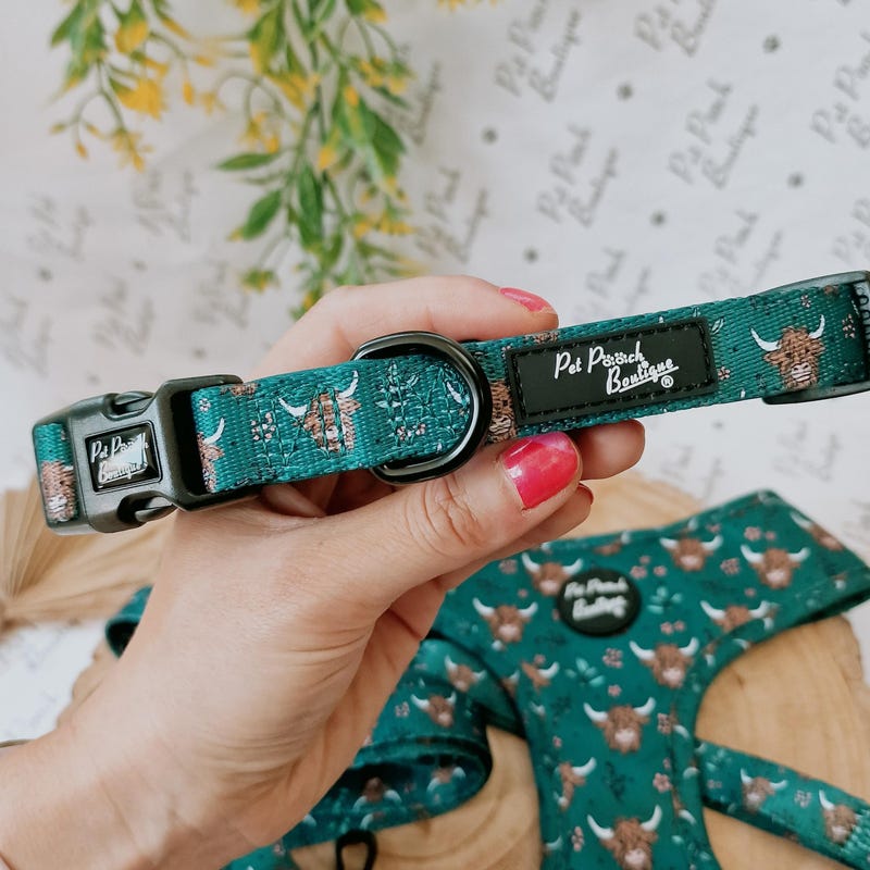 Dog Collar Highland - Etsy