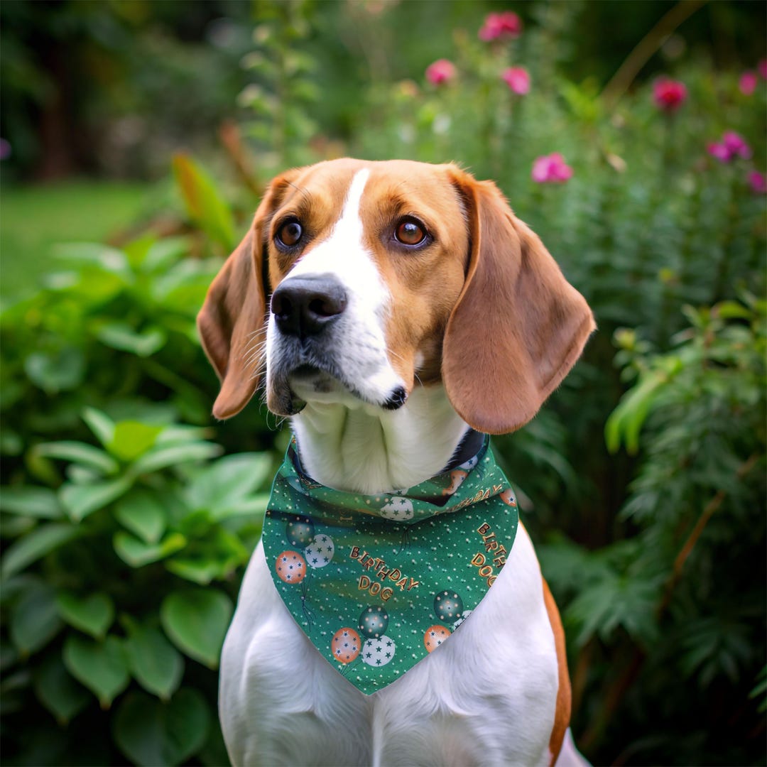 Bandana para perro o gato de color verde con diseño de cumpleaños ...