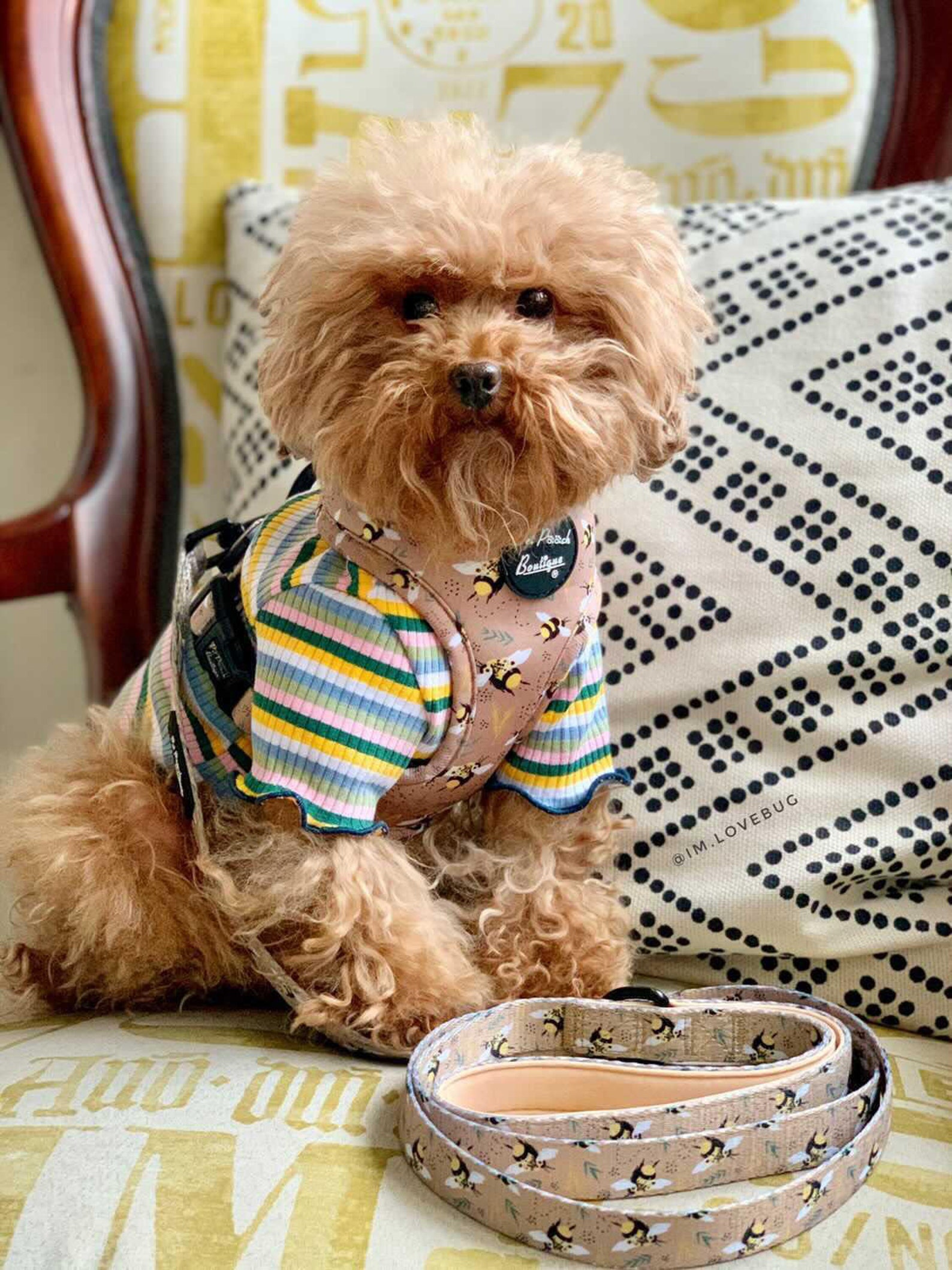 Honey Bumble Bee Dog LEAD Reversible - Etsy UK