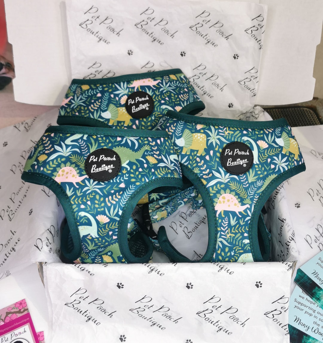 Dino Rawr Dinosaur Puppy Dog Harness - XS - L - Optional Bow Tie ...