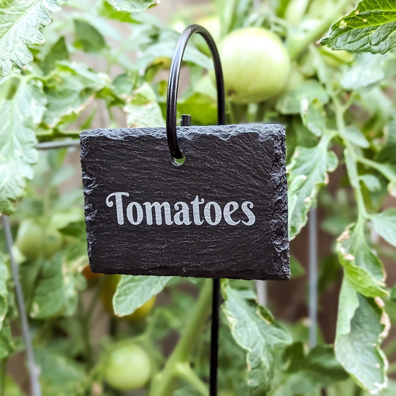 Custom Tall Hanging Plant Label | Slate Sign and Stainless Steel Stake ...